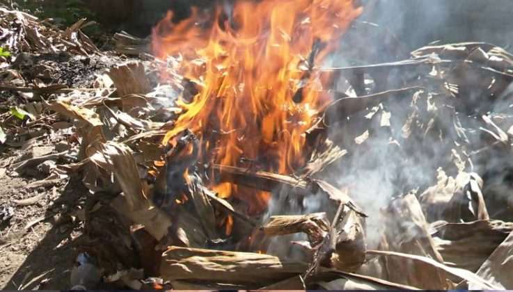 ¿Qué impacto tiene la quema de basura en nuestra salud?
