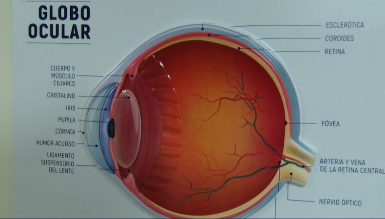 Síntomas y riesgos de la miopía