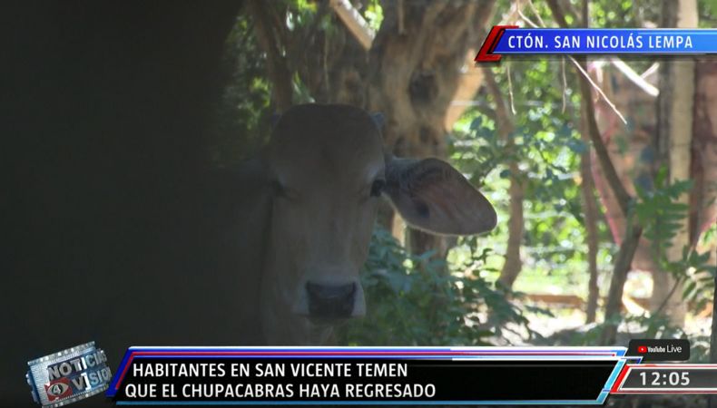 El chupacabras, ¿realidad o mito?