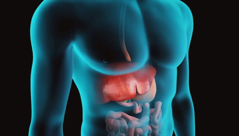 La cirrosis hepática: una enfermedad que debes conocer