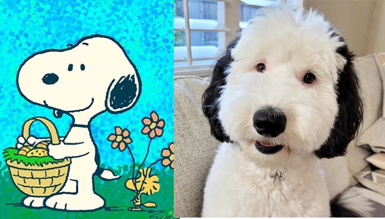 ¡Bayley, es la doble del perro de dibujos animados, Snoopy!