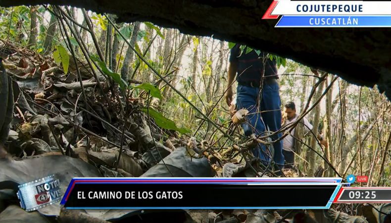 ¡El camino de los gatos, un destino en el cerro de Las Pavas!