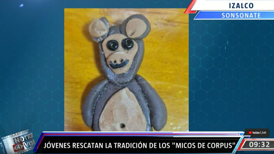 ¿Sabe usted que son los "micos de Corpus"?