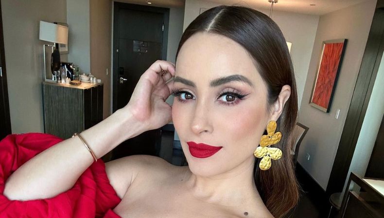 Cynthia Rodríguez reveló que su embarazo fue por fecundación in vitro