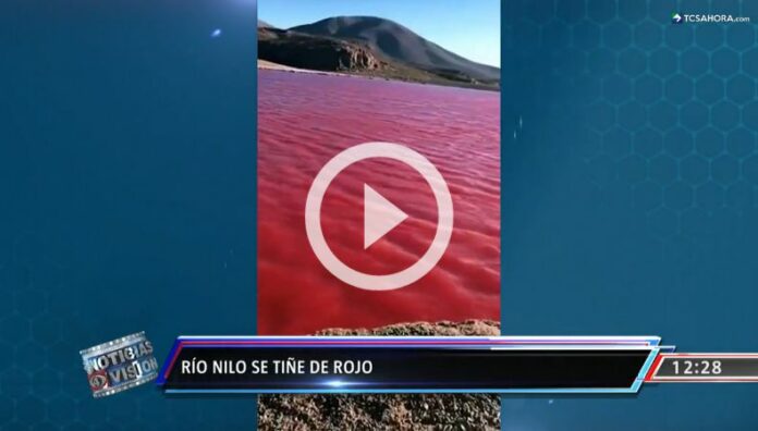 [Video] ¡Insólito! El río Nilo se tiñe de rojo