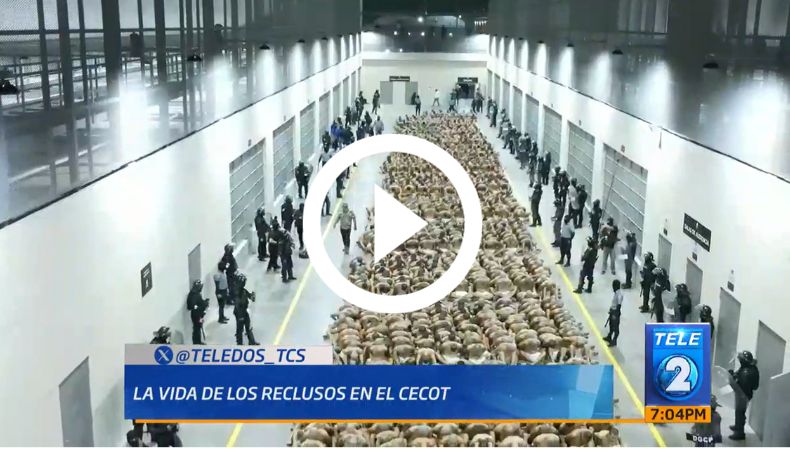 [Video] En las entrañas del CECOT: los relatos
