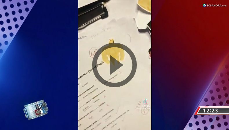 Una forma creativa para calificar: ¡con memes y stickers!